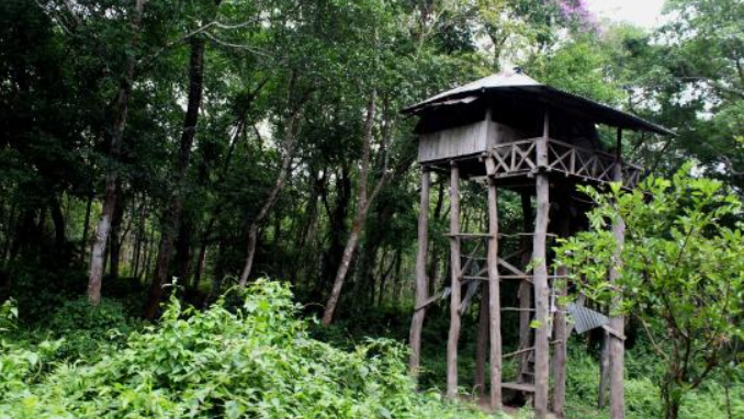 Top 10 Places to Visit in Siliguri, India - Must-See Spots!