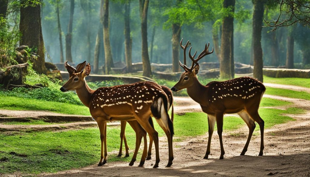 Top Places to Visit in Dehradun, India - Tips For Tourist’s!