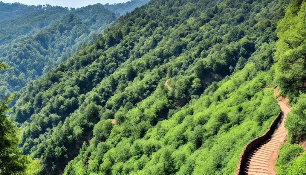 Top Places to Visit in Kasauli, India - Explore Now!