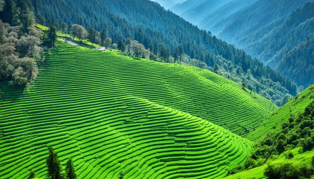 Top Places to Visit in Chakrata, India - Must-See Attractions!