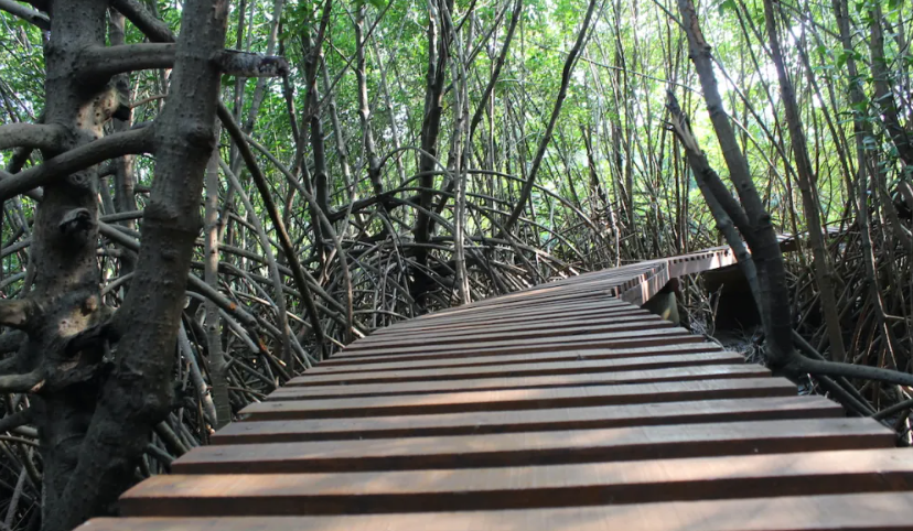 Top 10 Places to Visit in Honnavar, India – Explore Now!