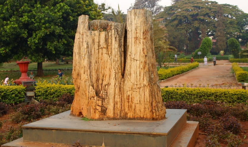Top 10 Places to Visit in Koramangala, India - Explore Now!