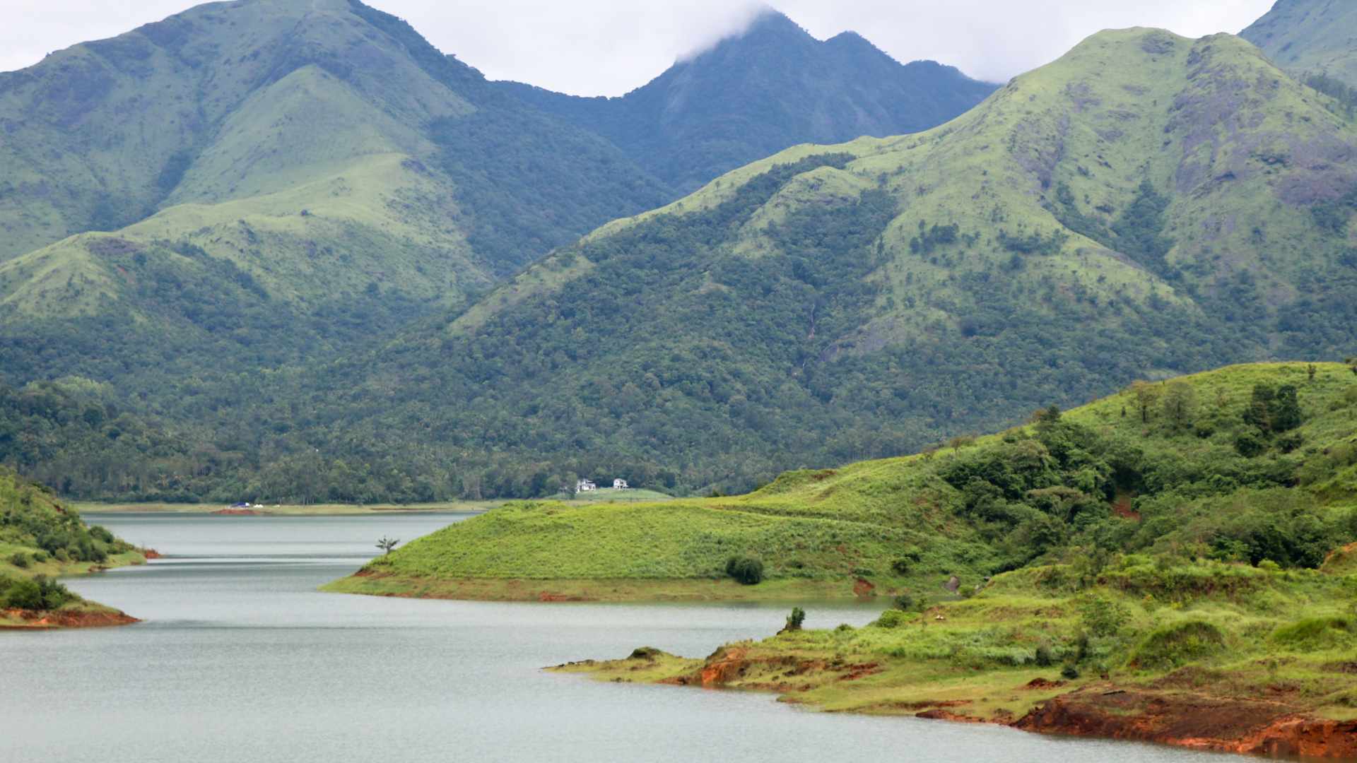 Best Time to Visit Wayanad, India - Ideal Season!