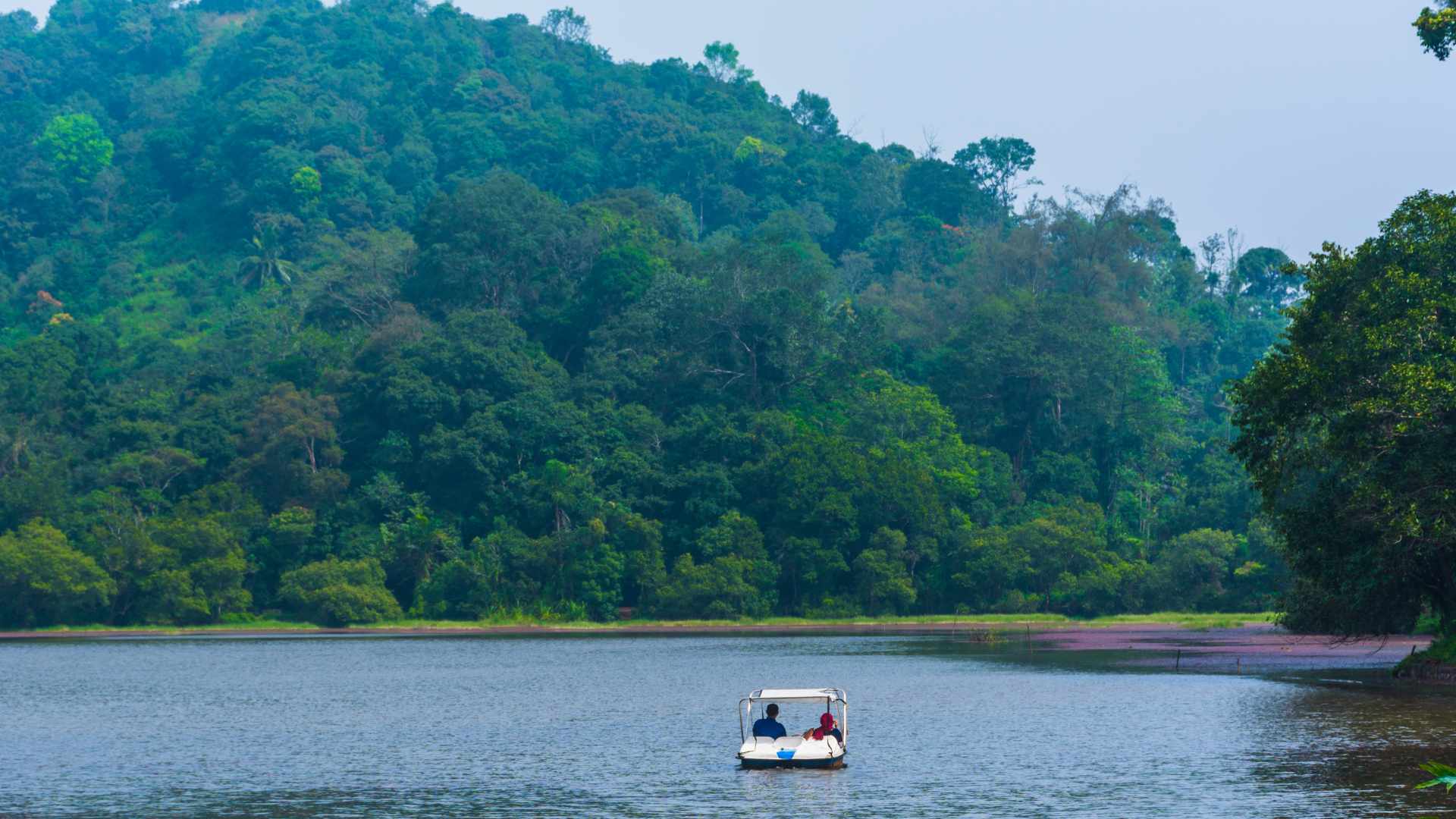 Best Time to Visit Wayanad, India - Ideal Season!
