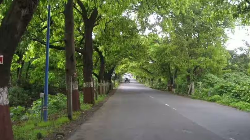 Top 10 Places to Visit Near Hinjewadi Phase 2 - Travel Guide!