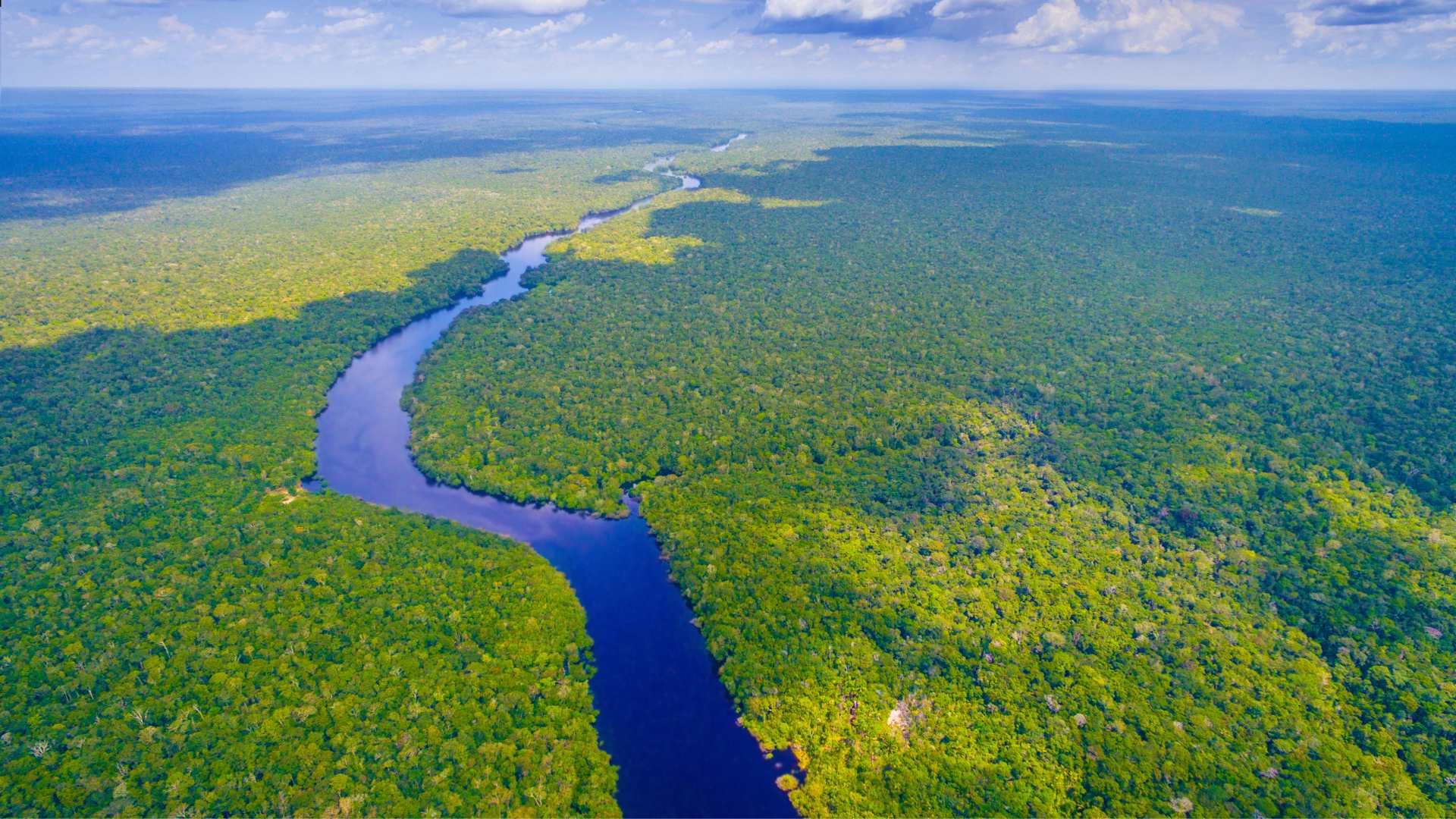Top 10 World Biggest Forest | Explore the Largest Forest Ecosystems