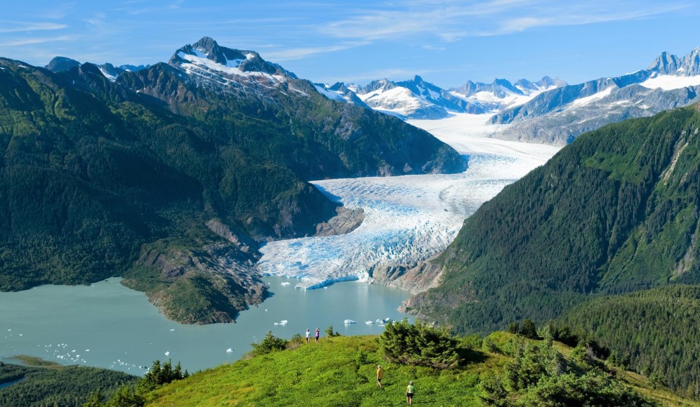 Top 10 World Biggest Forest | Explore the Largest Forest Ecosystems