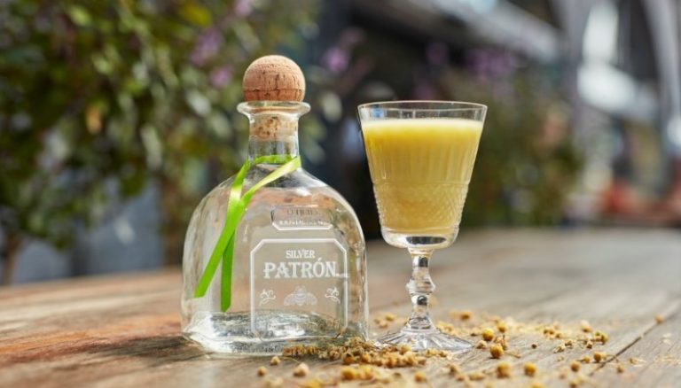 Top 10 Tequila Brands in India | Finest Choices for Tequila Lovers
