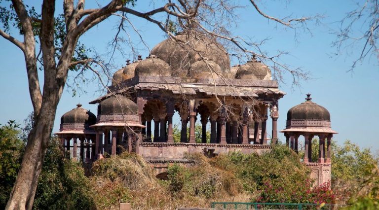 Top 10 Places to Visit in Sawai Madhopur | A Travel Guide for 2025!